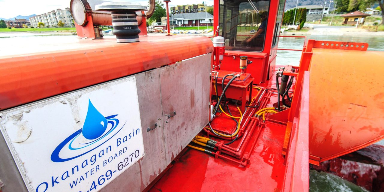 Endangered mussels limit milfoil removal - TimesChronicle.ca