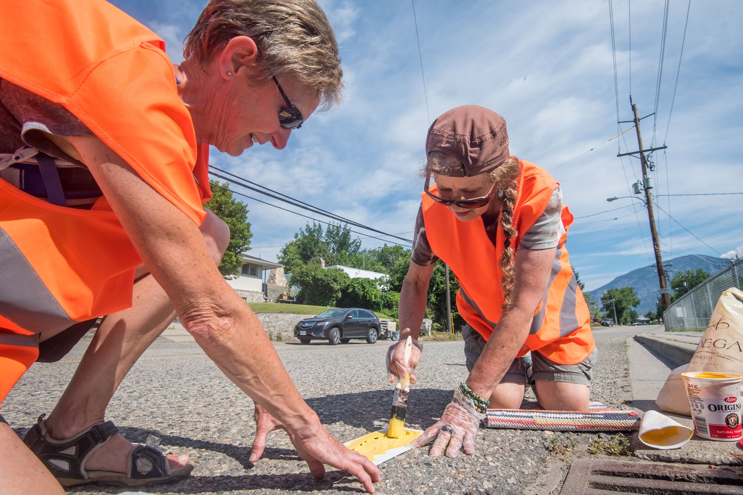 Painted yellow fish are reminder that what goes down the drain will end ...
