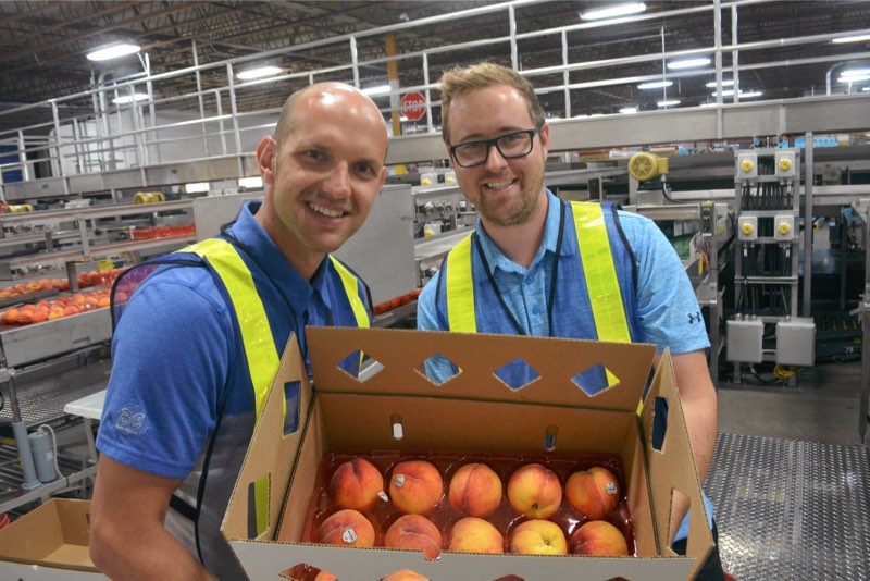 New fruit packing line unveiled in Oliver - TimesChronicle.ca