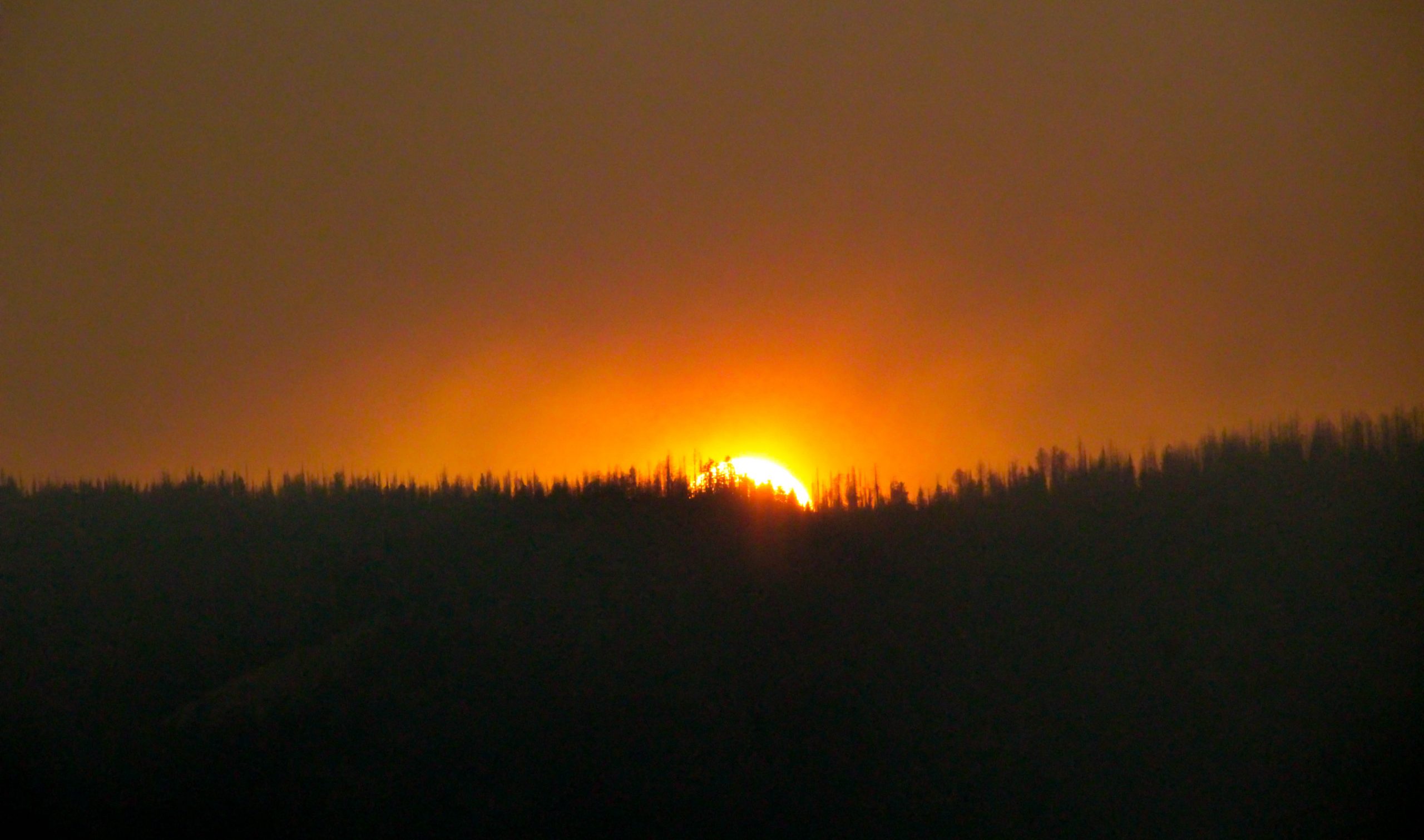 Heavy smoke drifting in from wildfires - TimesChronicle.ca