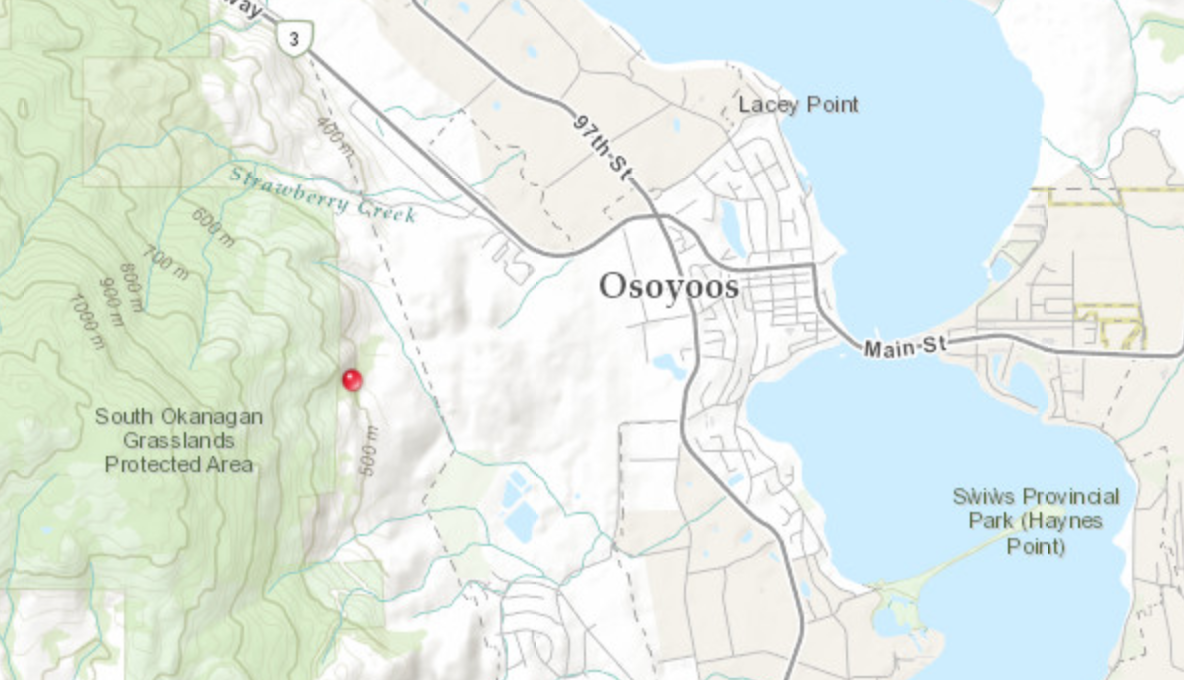 Spot fire west of Osoyoos nearly extinguished - TimesChronicle.ca