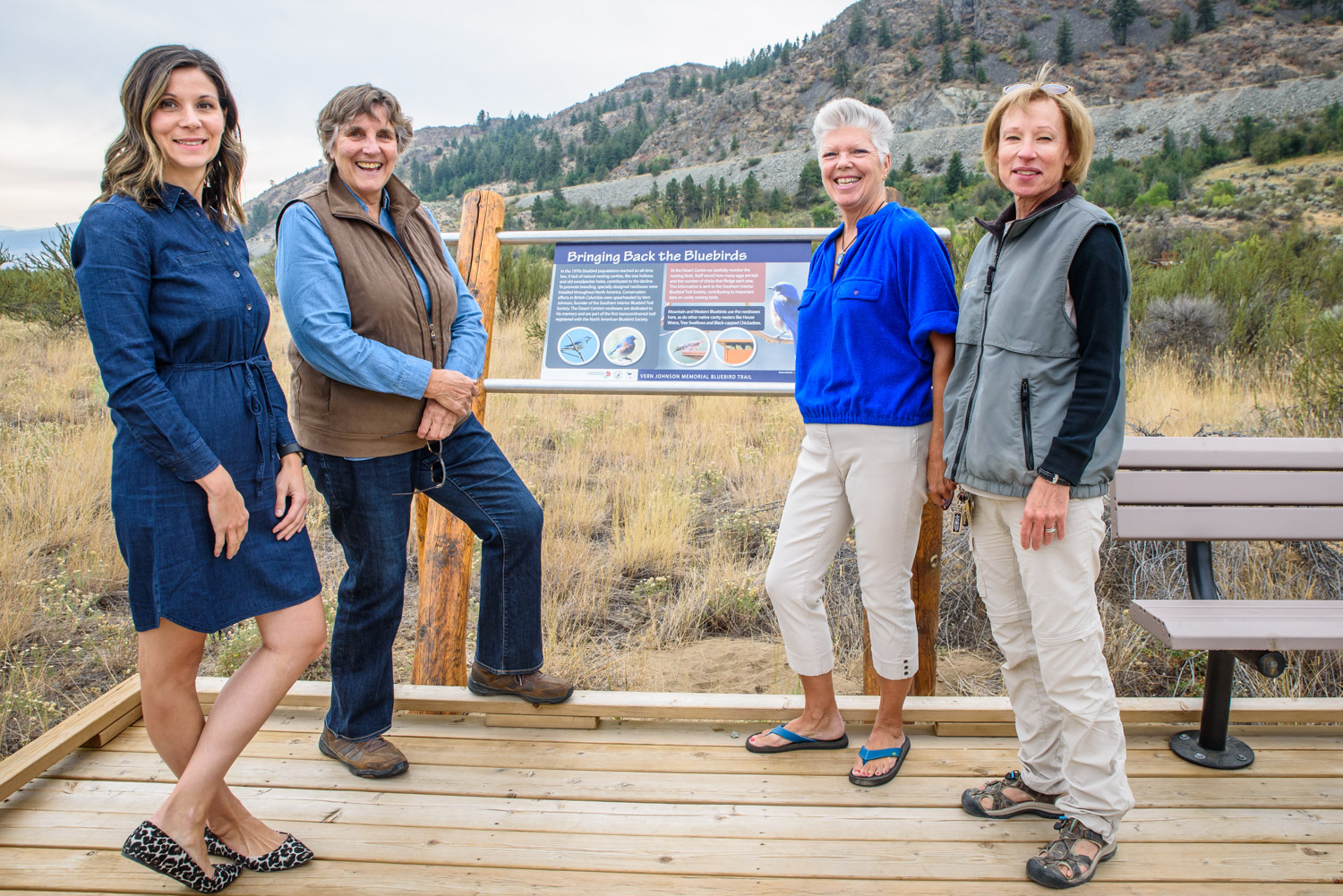 Bluebird platform has become popular attraction at Osoyoos Desert ...