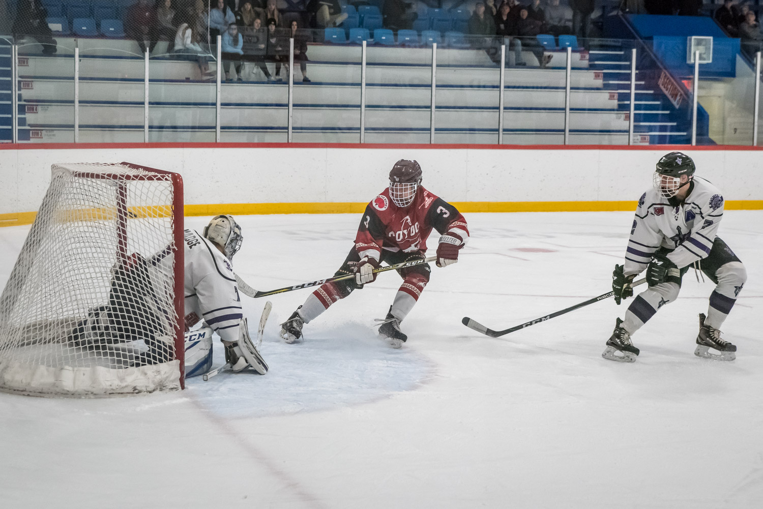 Pair of wins over Kelowna vaults Coyotes into first place ...