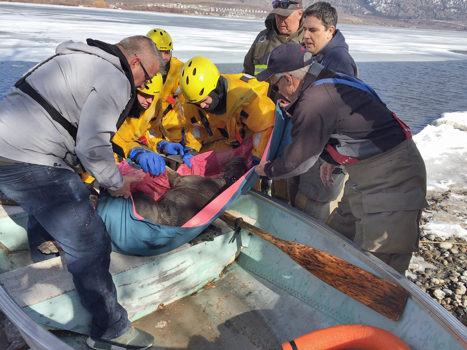 Exhaustive ice rescue mission saves dog on Osoyoos Lake - TimesChronicle.ca