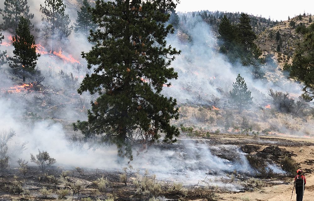 Oliver fire grows into terrain safer and more workable for crews ...