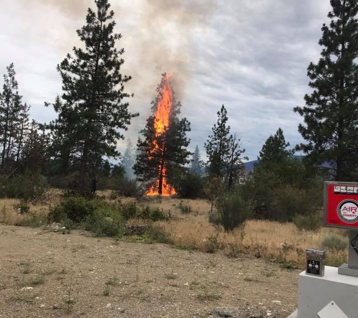 Discarded cigarette believed the culprit of brush fire - TimesChronicle.ca