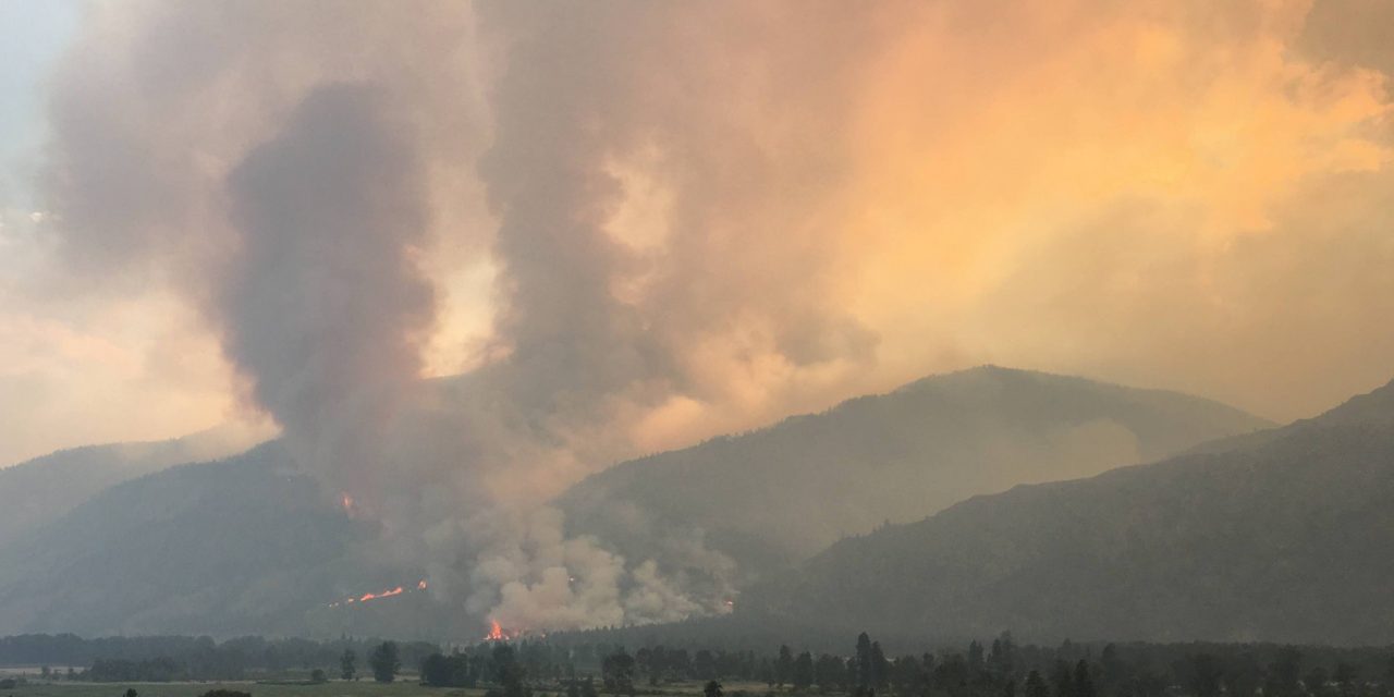 Snowy Mountain fire crosses river - TimesChronicle.ca
