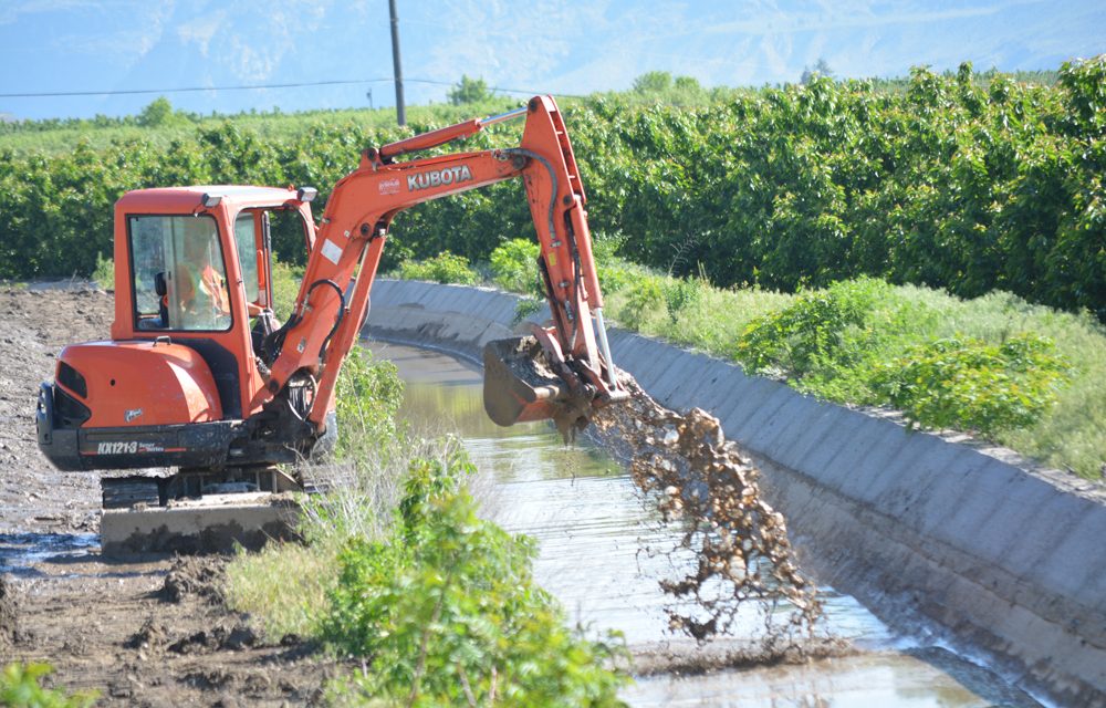 Clogged canal concerns orchardists - TimesChronicle.ca