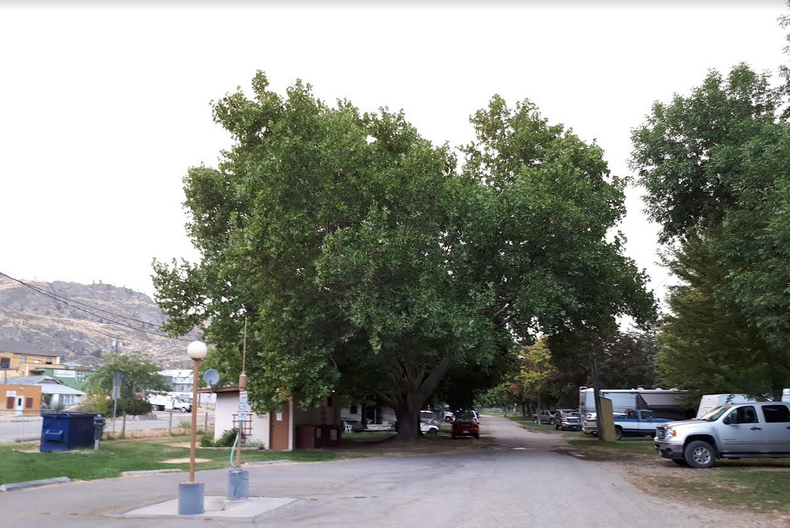 Old RV park gets TLC - TimesChronicle.ca