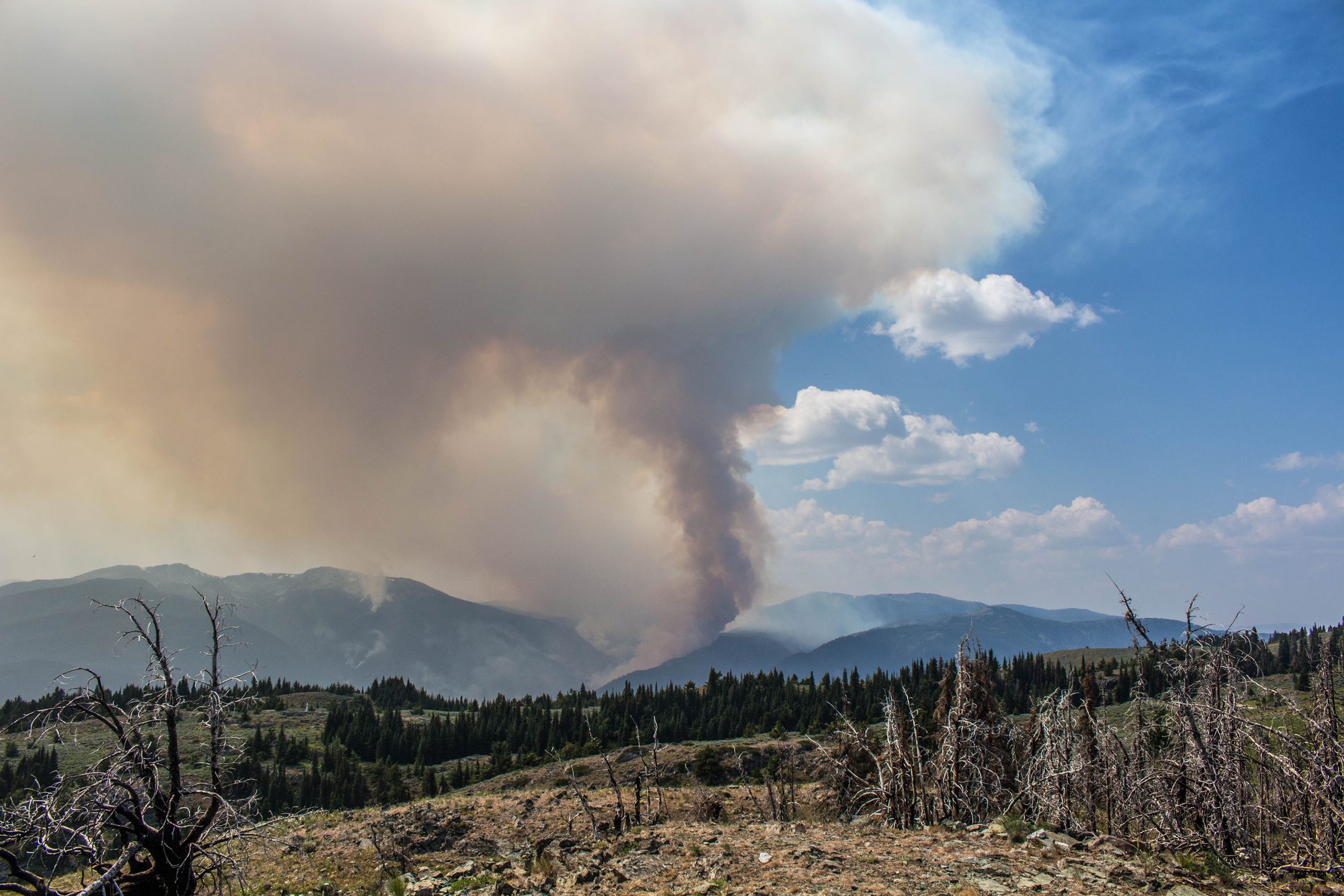 Fire crew deployed after Snowy Mountain blaze grows - TimesChronicle.ca