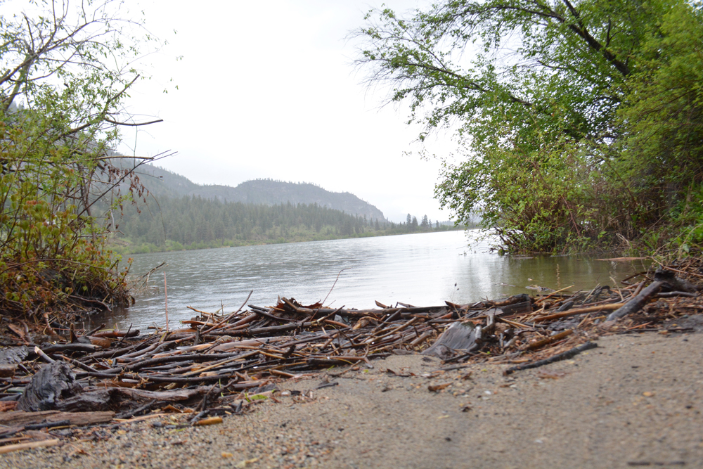 Phase 2 of water quality assessment to start at Vaseux Lake ...
