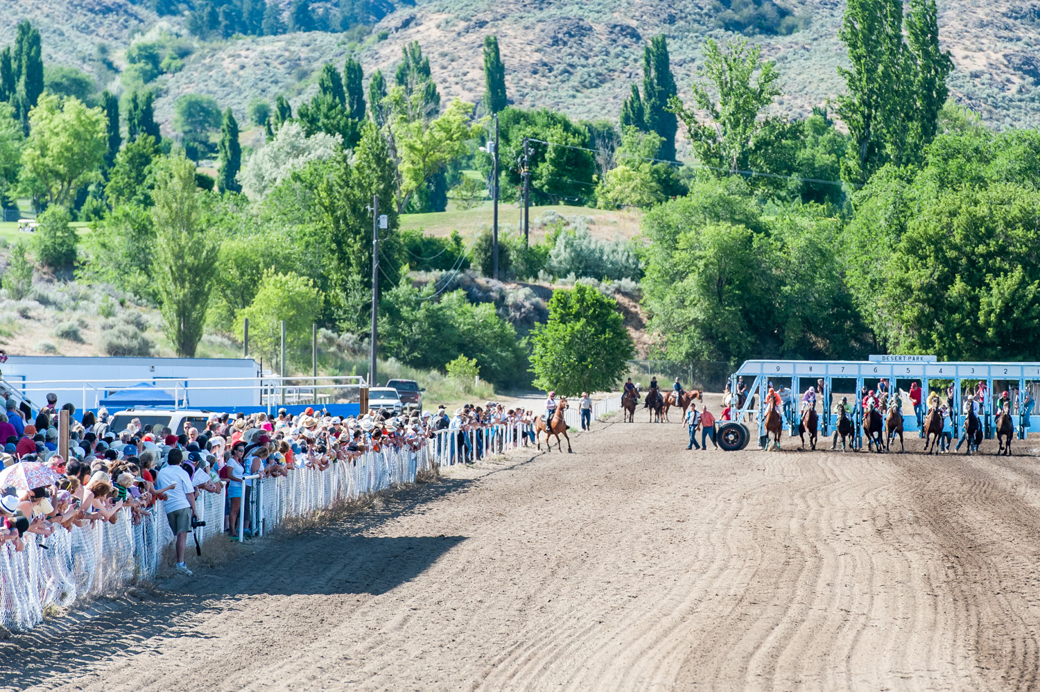 Huge crowds pack into Desert Park as racing returns after 15 years ...