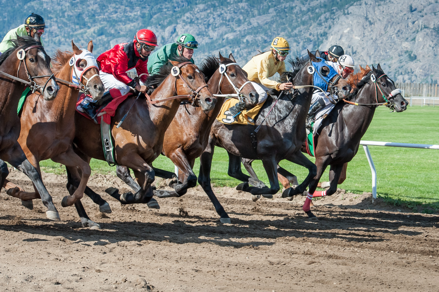 Huge crowds pack into Desert Park as racing returns after 15 years ...