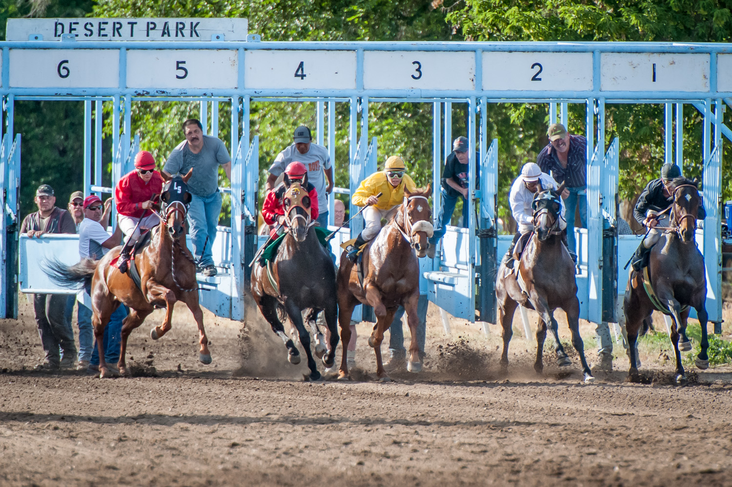 Huge crowds pack into Desert Park as racing returns after 15 years ...