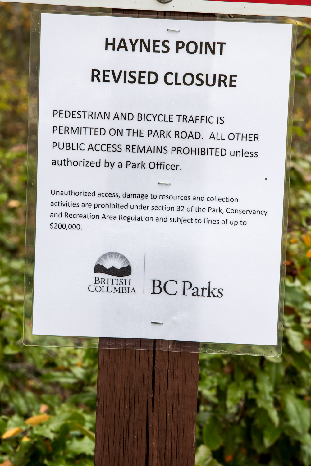 Walkers, cyclists may now use Haynes Point park roadway - TimesChronicle.ca