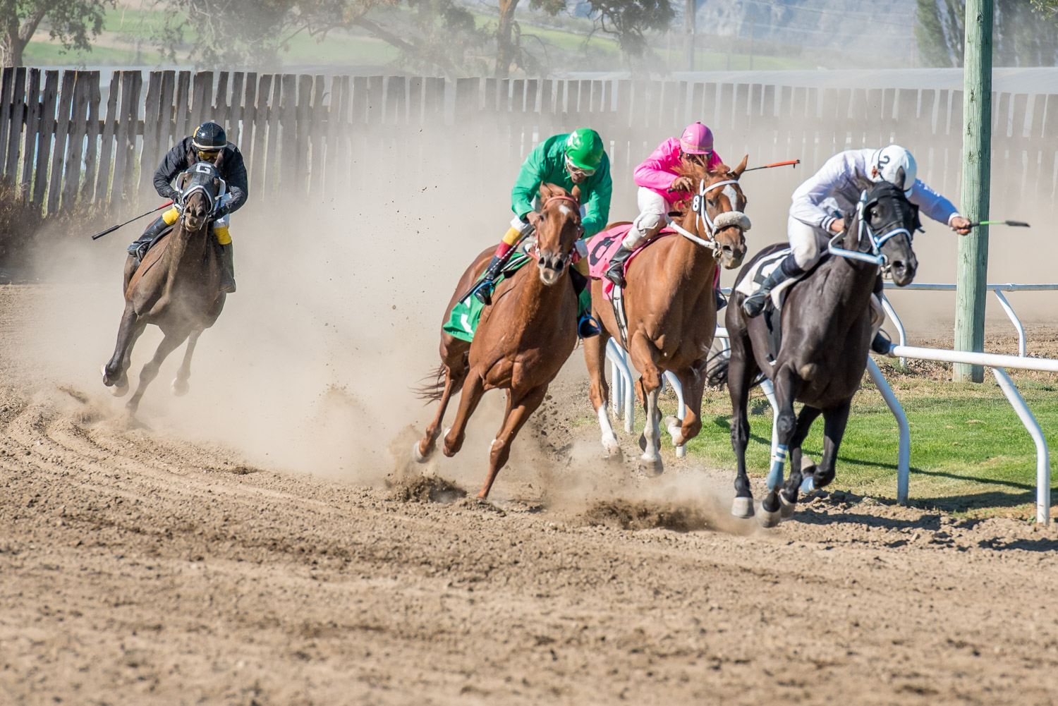 VIDEO: A day at the races - horse racing at Desert Park in Osoyoos ...