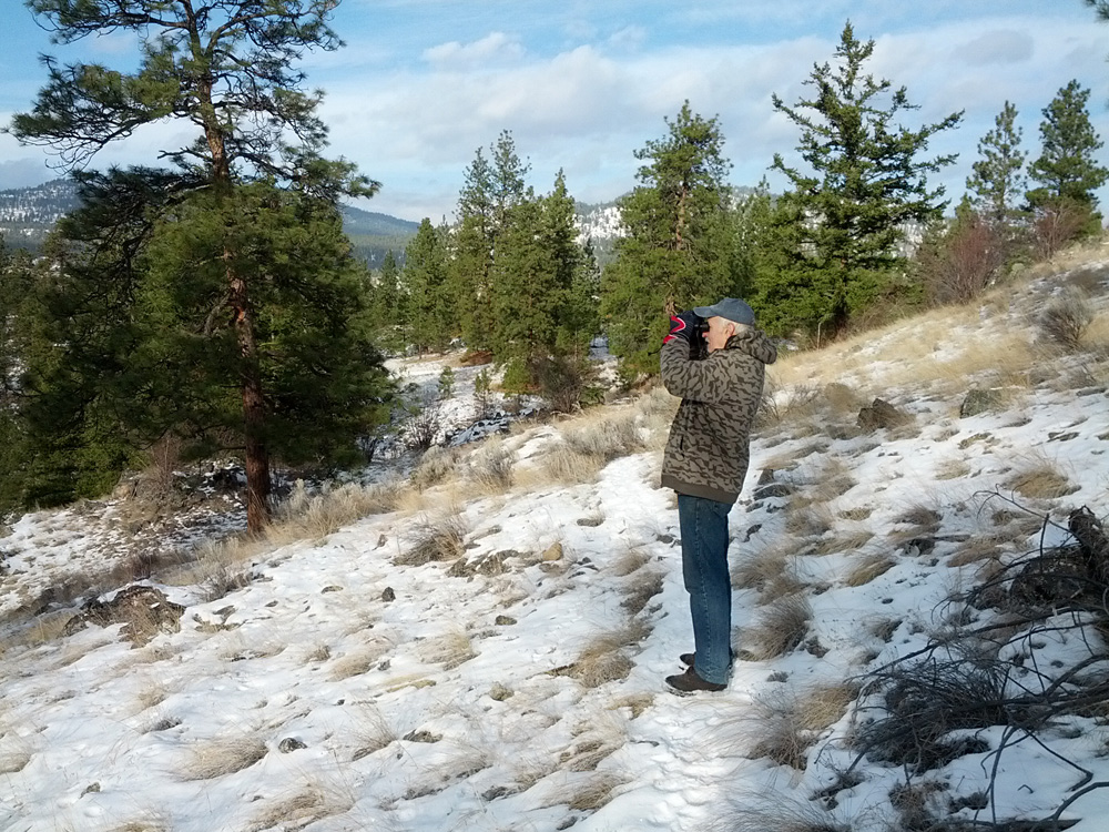 Christmas Bird Count finds 21,224 birds of 110 species - TimesChronicle.ca