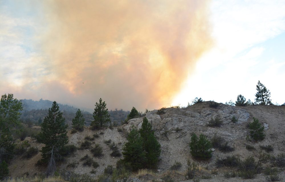 Strong winds fan wildfire in Fairview - TimesChronicle.ca