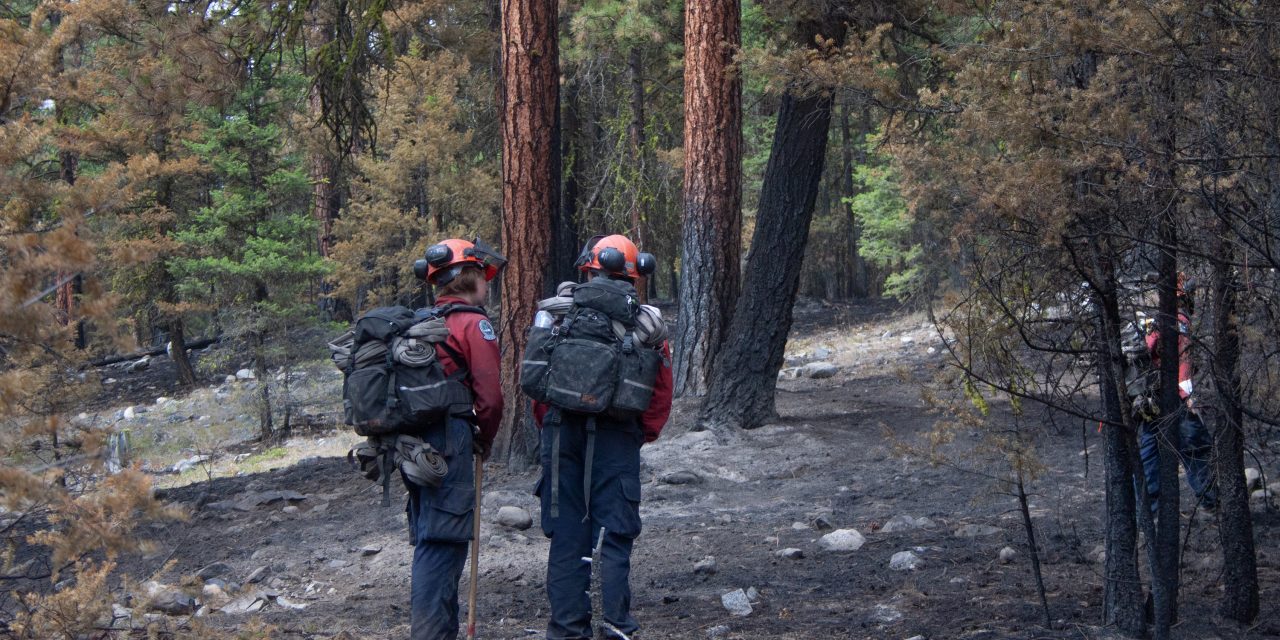 EDITORIAL: Fighting out of control wildfires in suffocating heat is no ...
