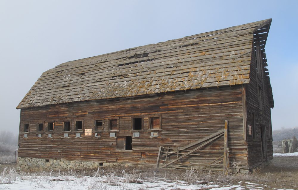 Town chips in to preserve Haynes Ranch - TimesChronicle.ca