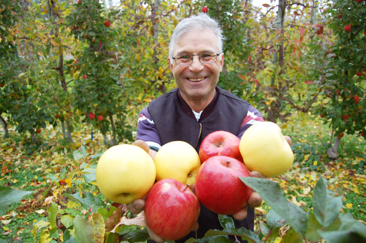Oliver apple grower brings home awards - TimesChronicle.ca