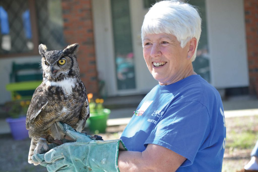 Giving a hoot: SORCO holds open house - TimesChronicle.ca