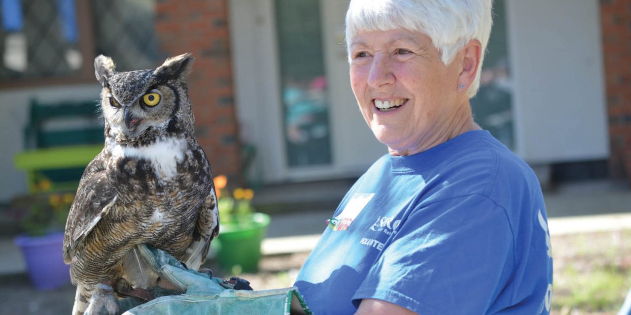Giving a hoot: SORCO holds open house - TimesChronicle.ca