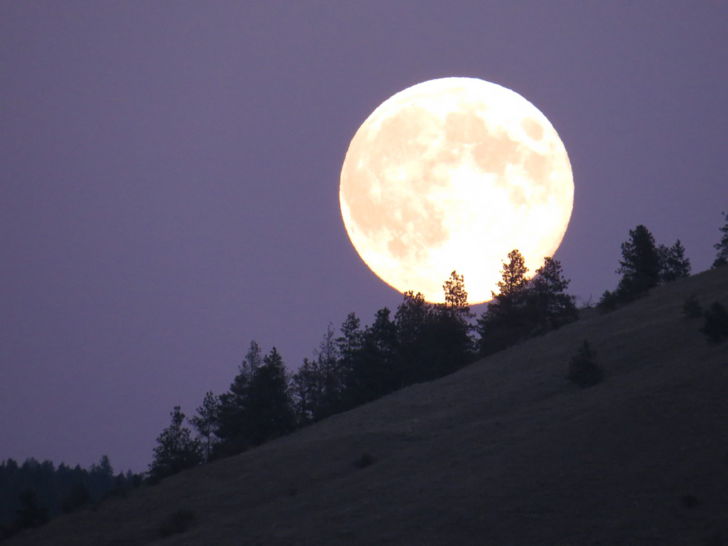 Guiding Light - TimesChronicle.ca