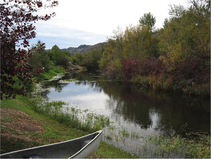 Stewardship Spotlight on Park Rill - TimesChronicle.ca