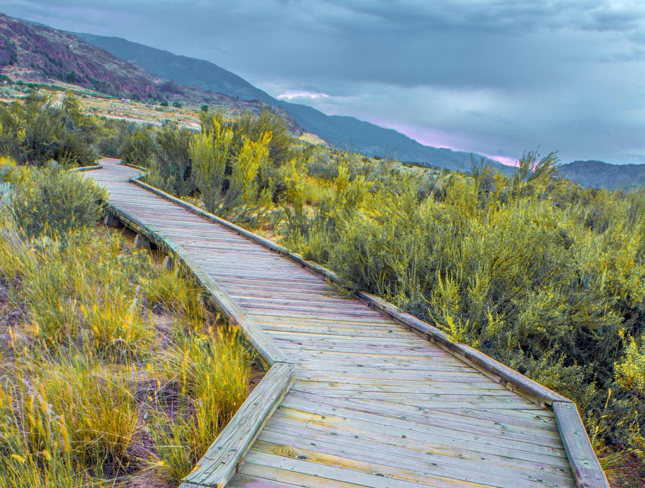 Romance the desert at the Osoyoos Desert Centre - TimesChronicle.ca