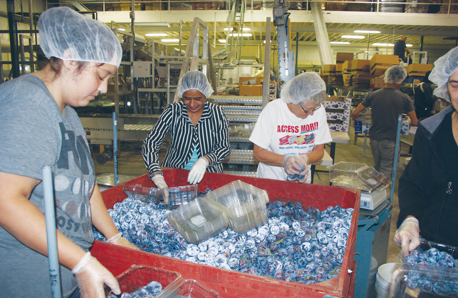 Established Canadian food company thrilled since opening new ...