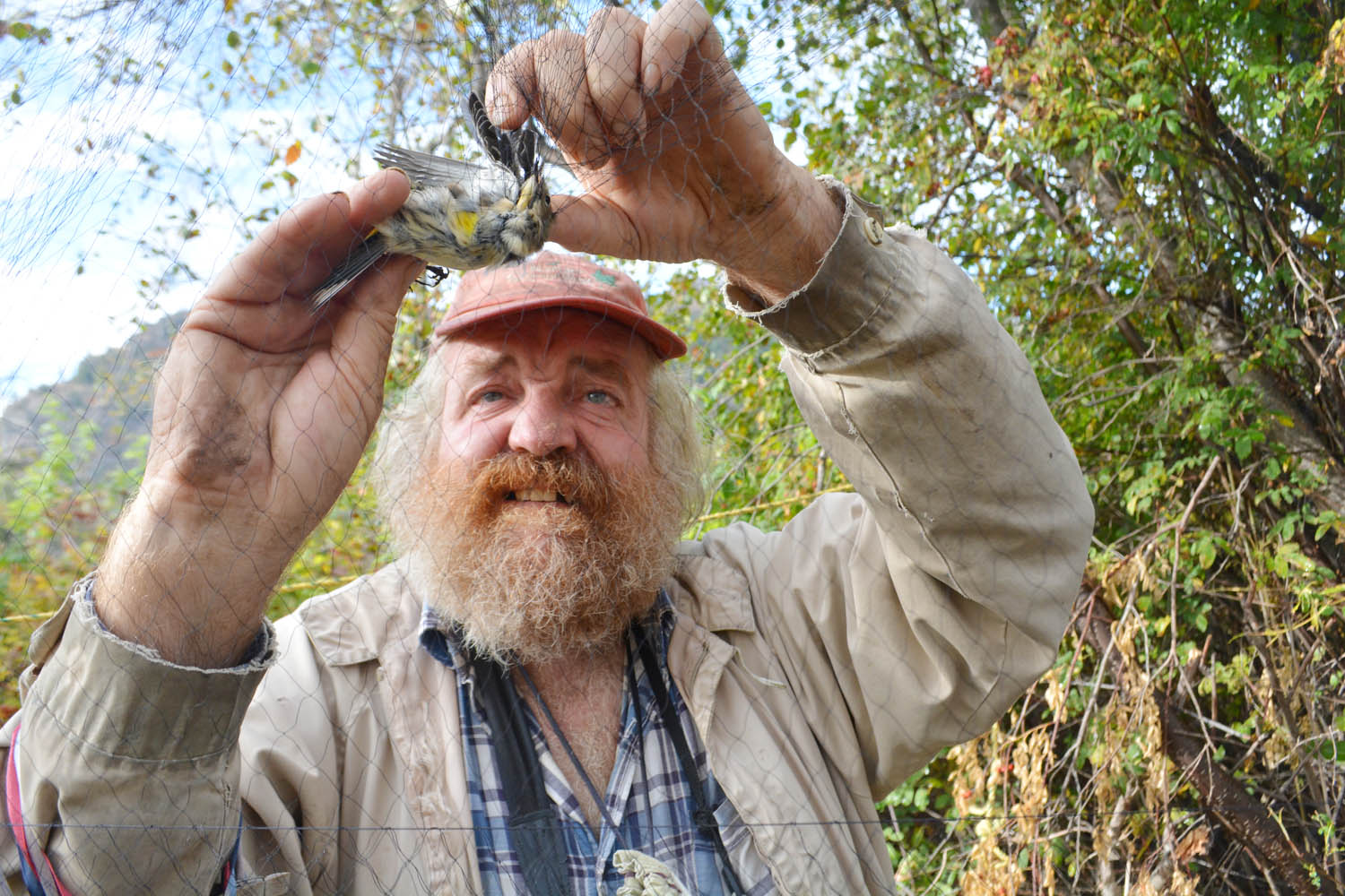 Public gets bird’s eye view of conservation - TimesChronicle.ca