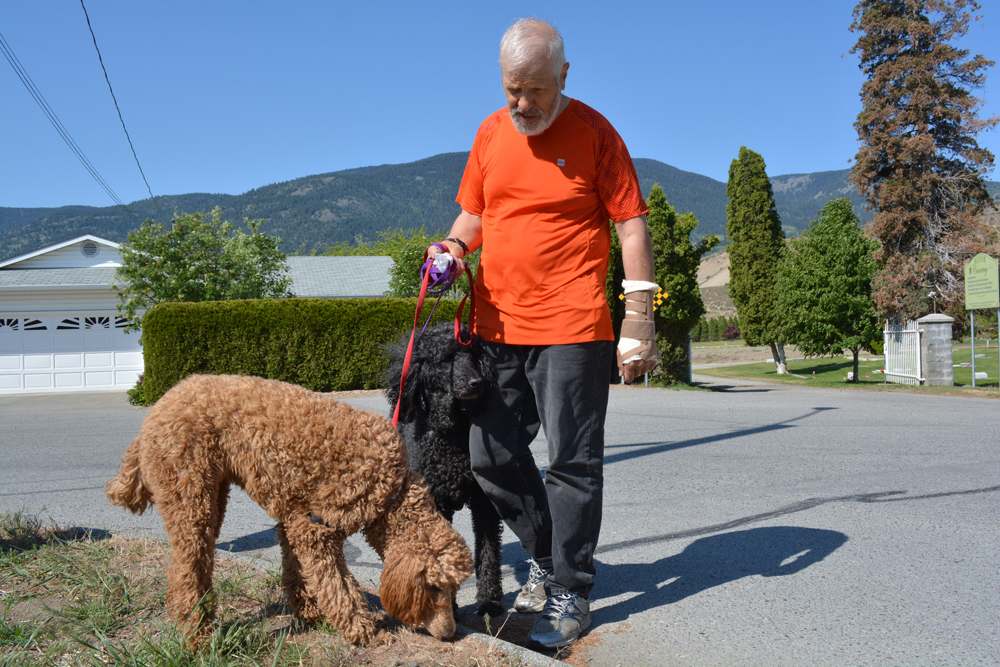 Pet owners warned of bad treats - TimesChronicle.ca