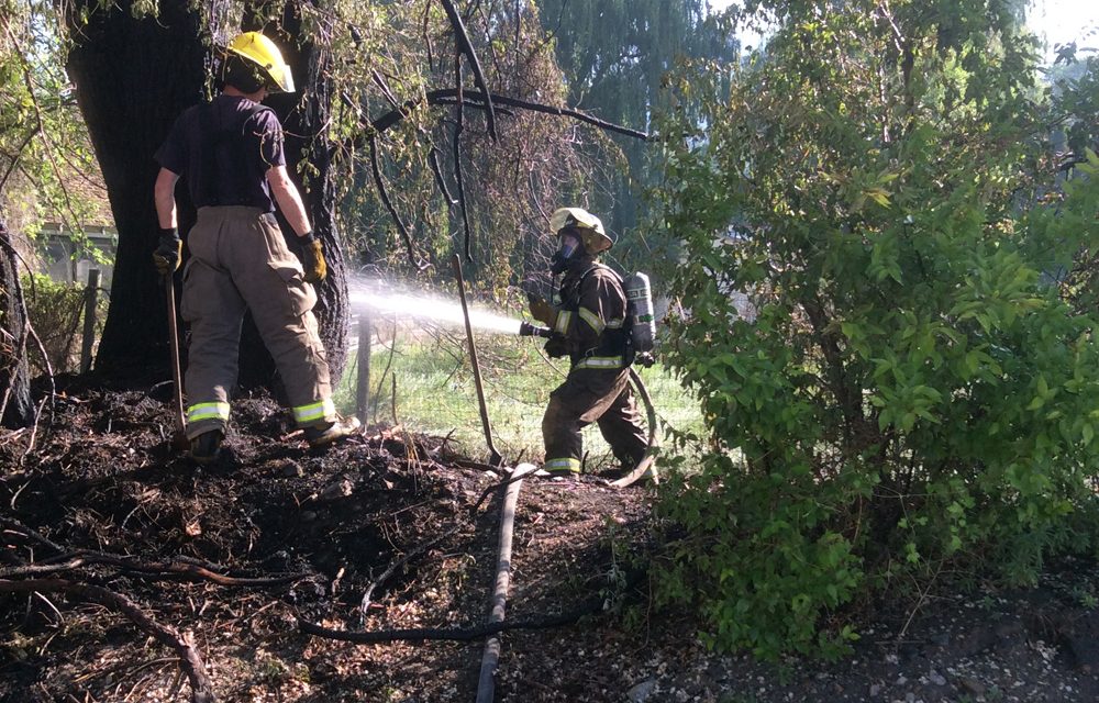 Tree fire raises alarm - TimesChronicle.ca