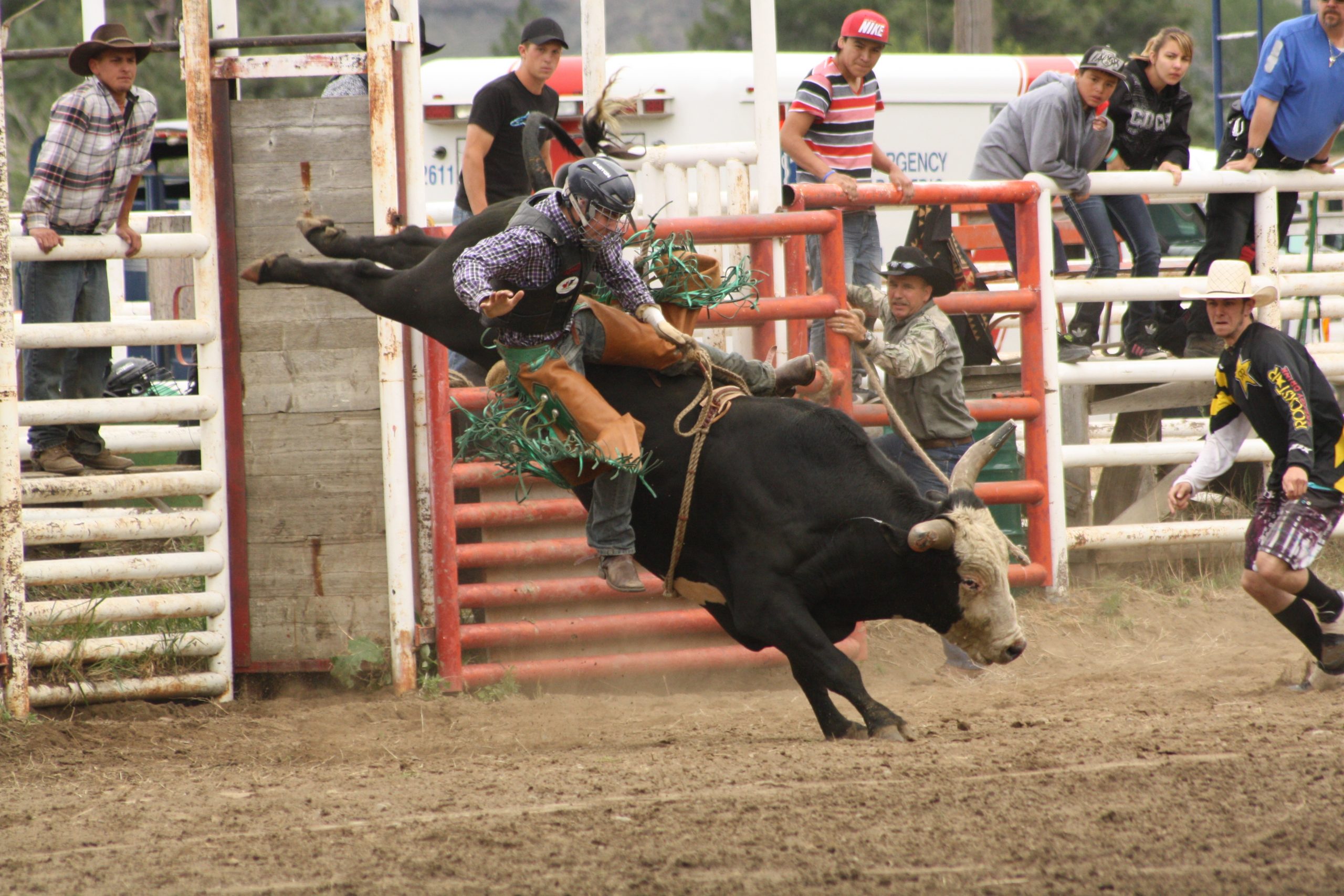 Rodeo action - TimesChronicle.ca