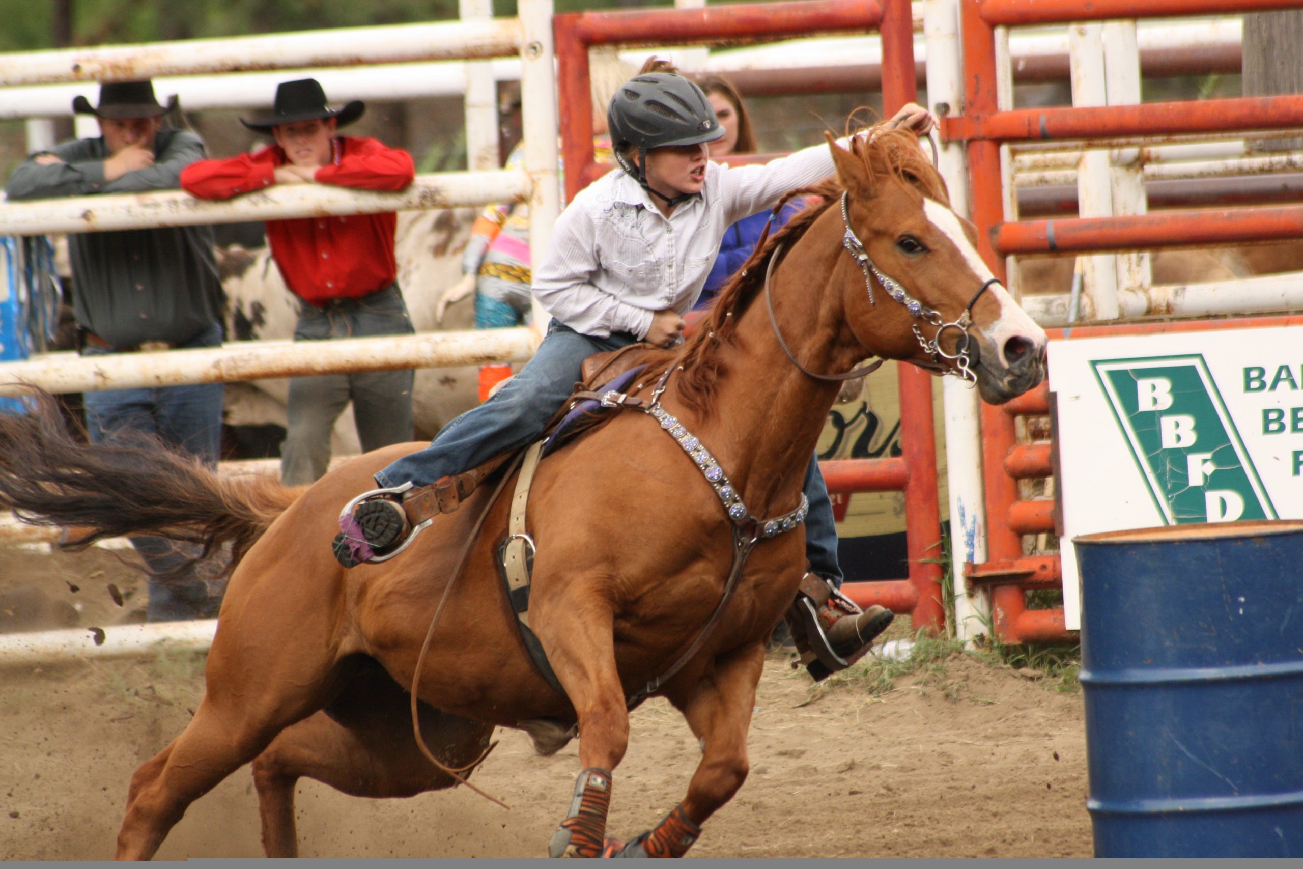 Rodeo action - TimesChronicle.ca