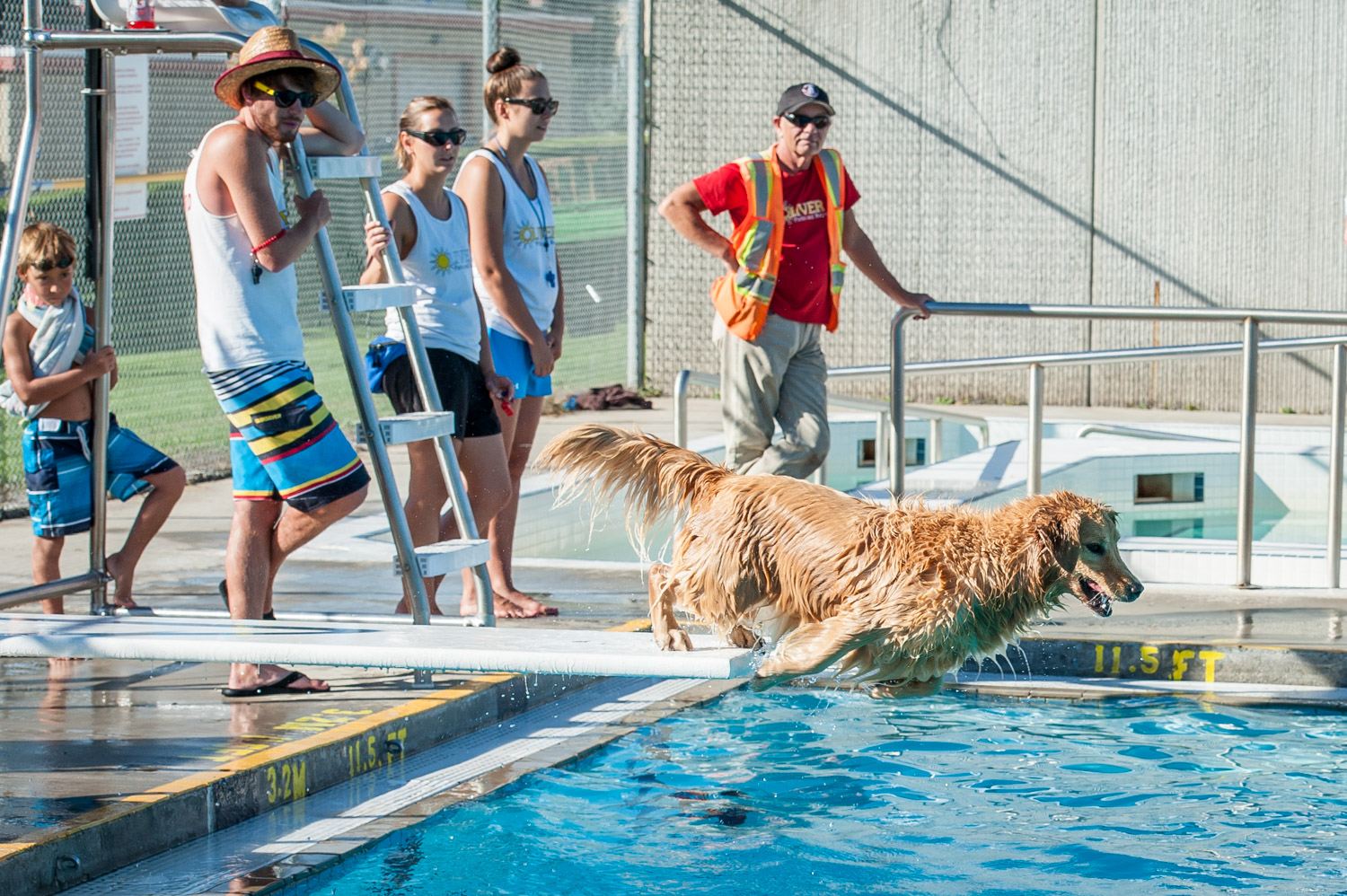 Oliver pool goes to the dogs - TimesChronicle.ca