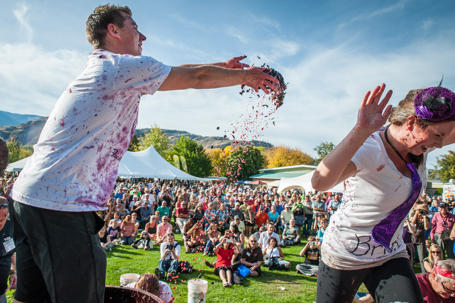 Festival of the Grape is nothing to wine about - TimesChronicle.ca