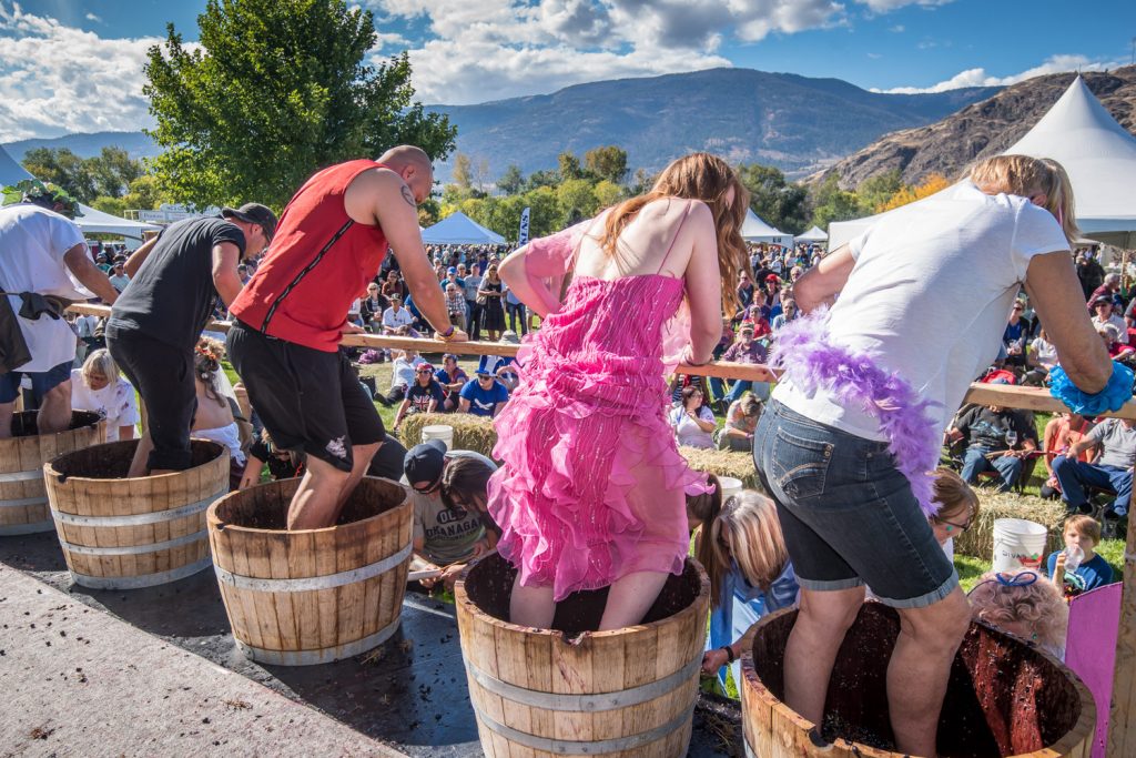 Wine flows as large crowd turns out for Festival of the Grape ...