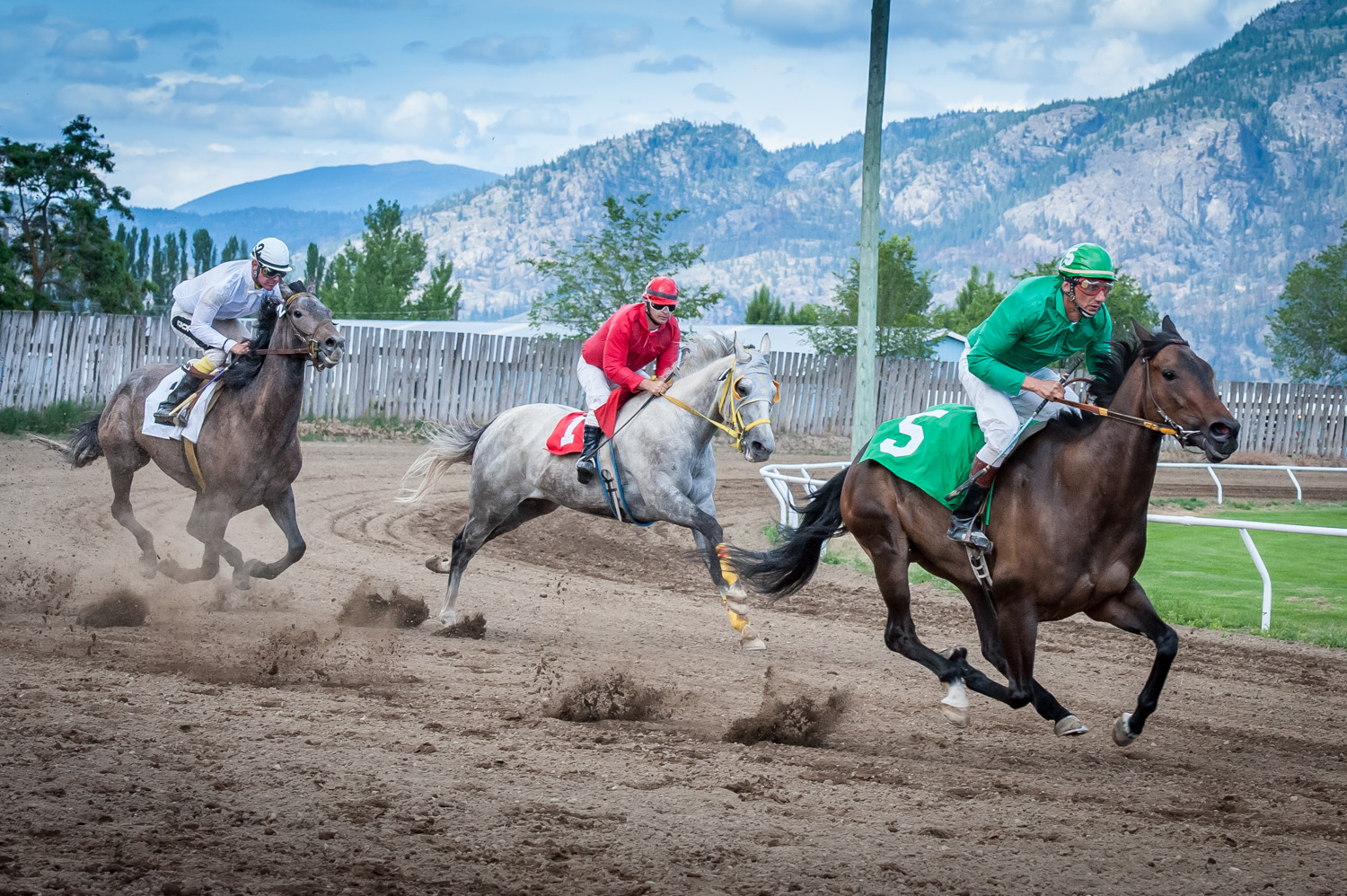Harness racing could return here next year - TimesChronicle.ca