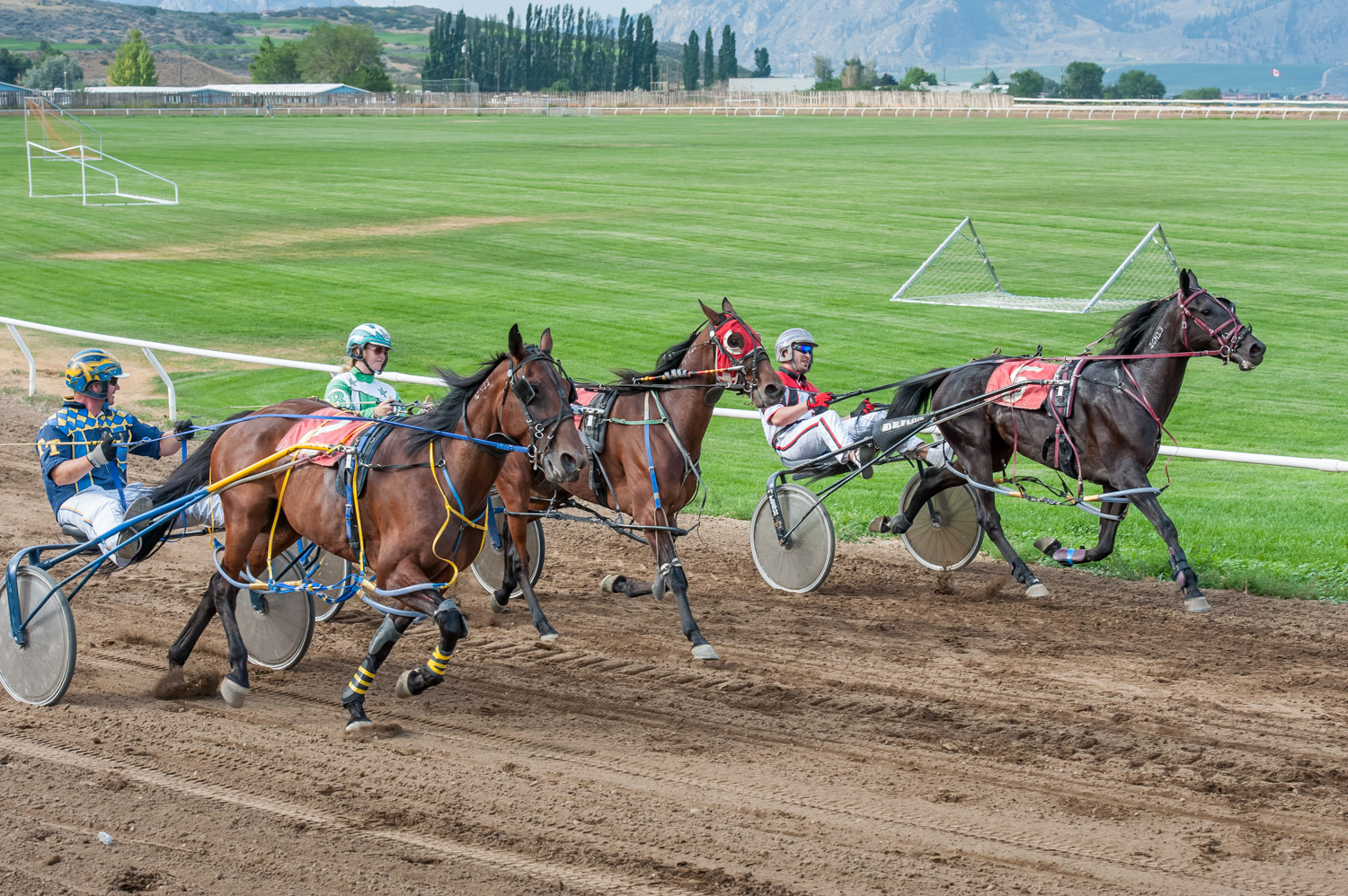 Harness racing could return here next year - TimesChronicle.ca