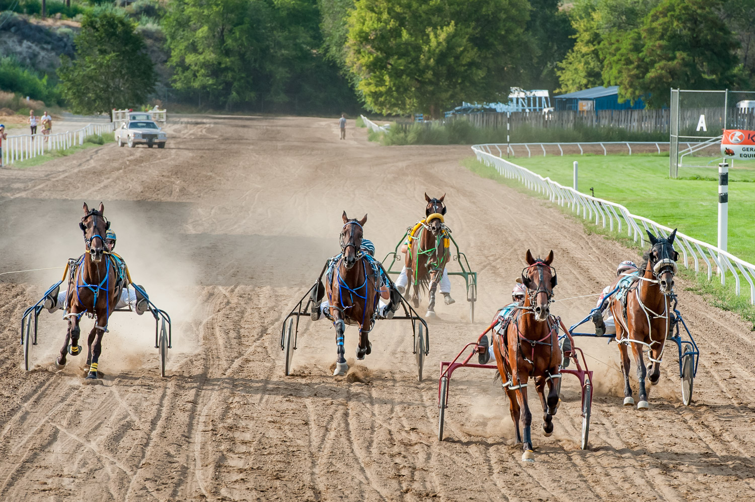 Harness racing could return here next year - TimesChronicle.ca