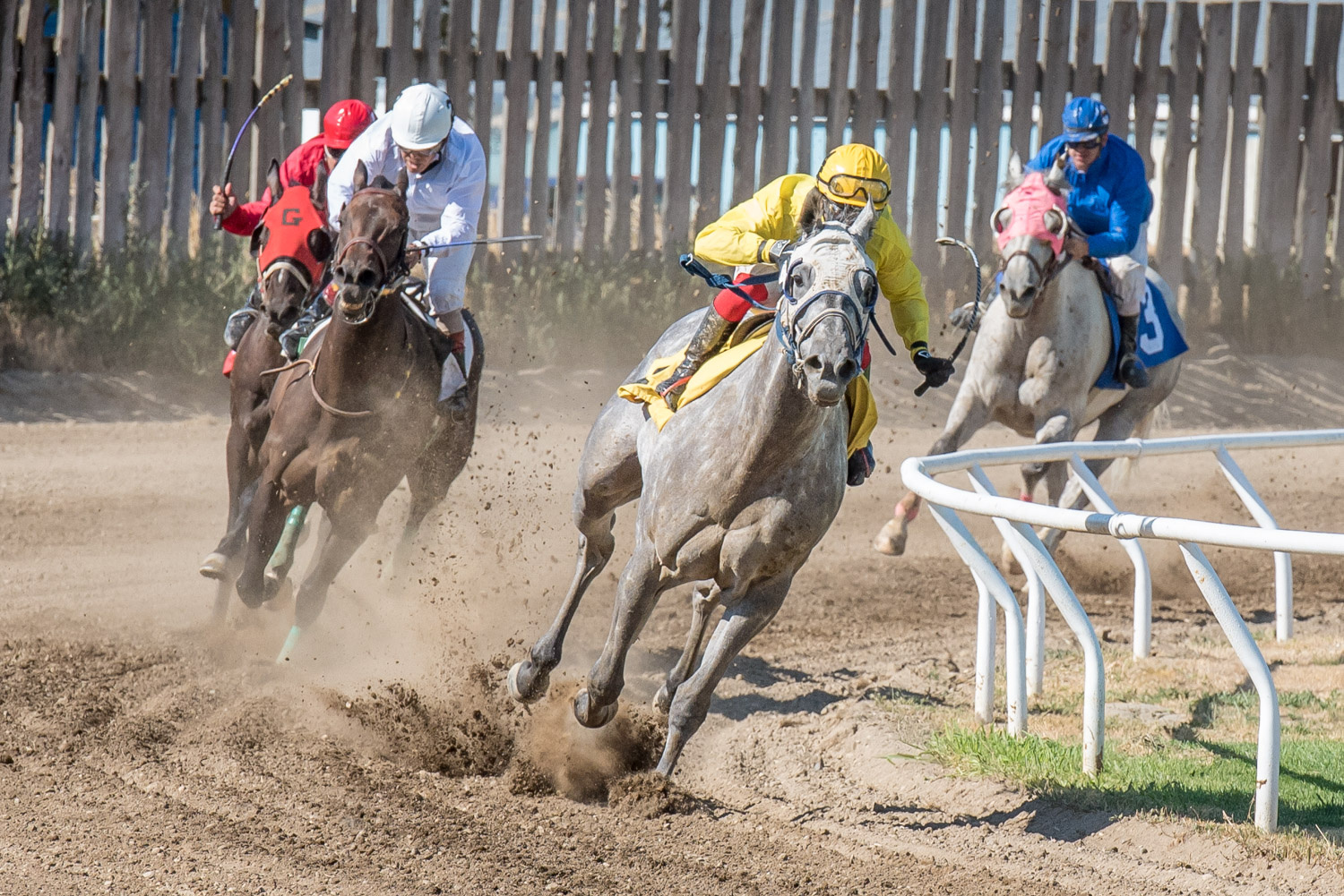 Horse racing returns to Desert Park on Saturday - TimesChronicle.ca