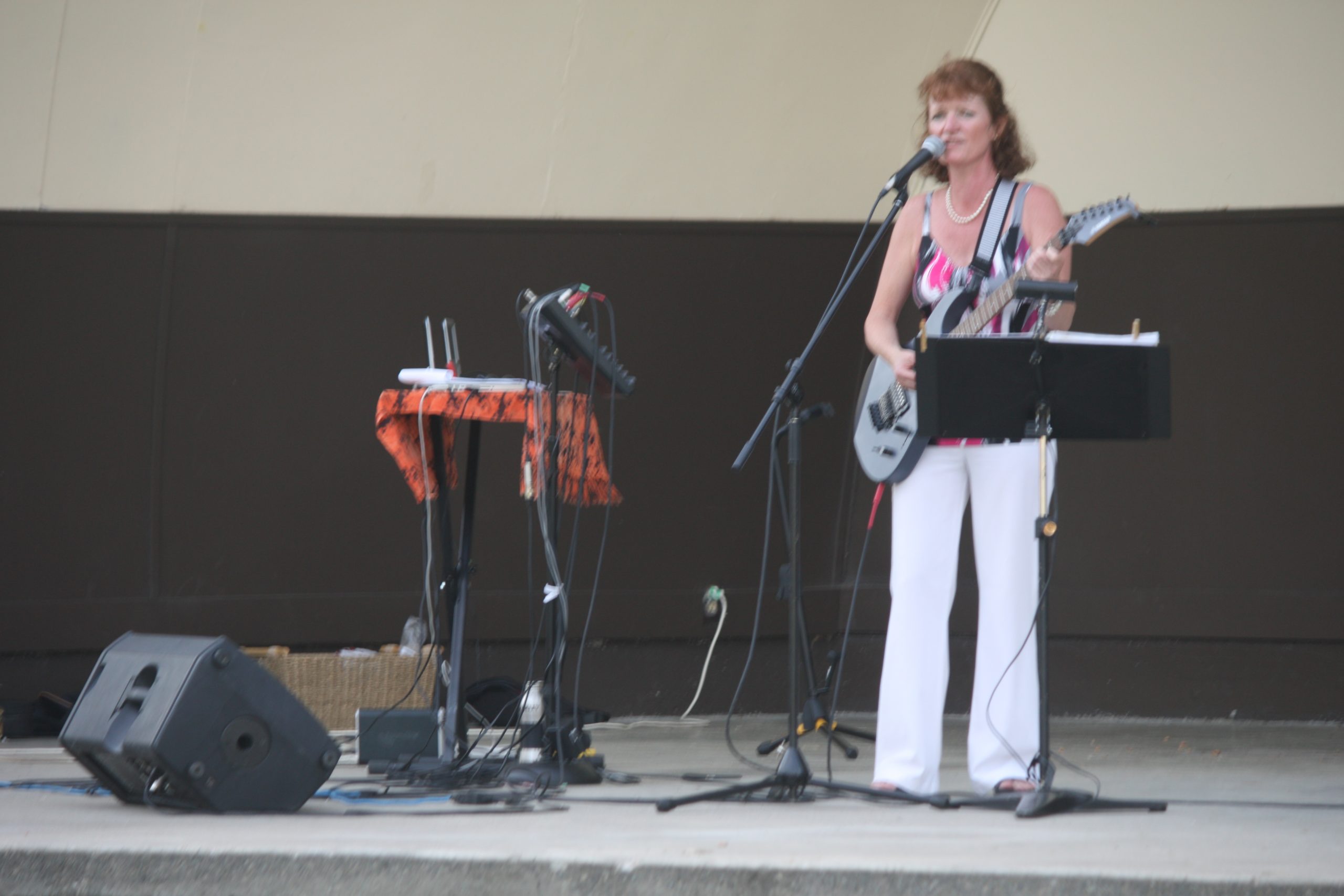 TOWN HOPES HUGE CROWDS WILL SUPPORT FIRST ART IN THE PARK EVENT ON ...