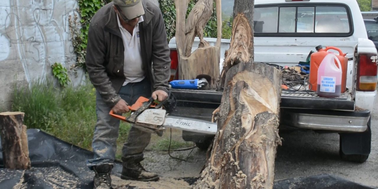 Master carver impresses during Art Walk - TimesChronicle.ca
