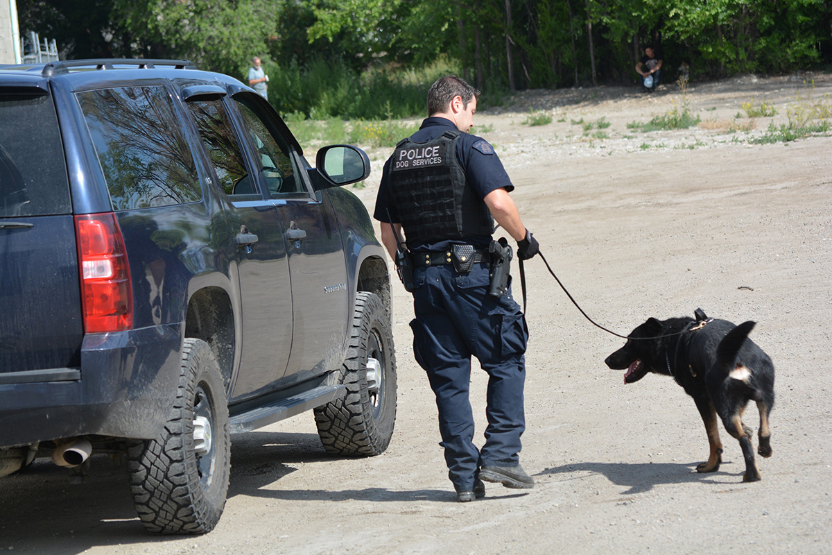 RCMP dogs track repeat offenders after break-in in Oliver ...