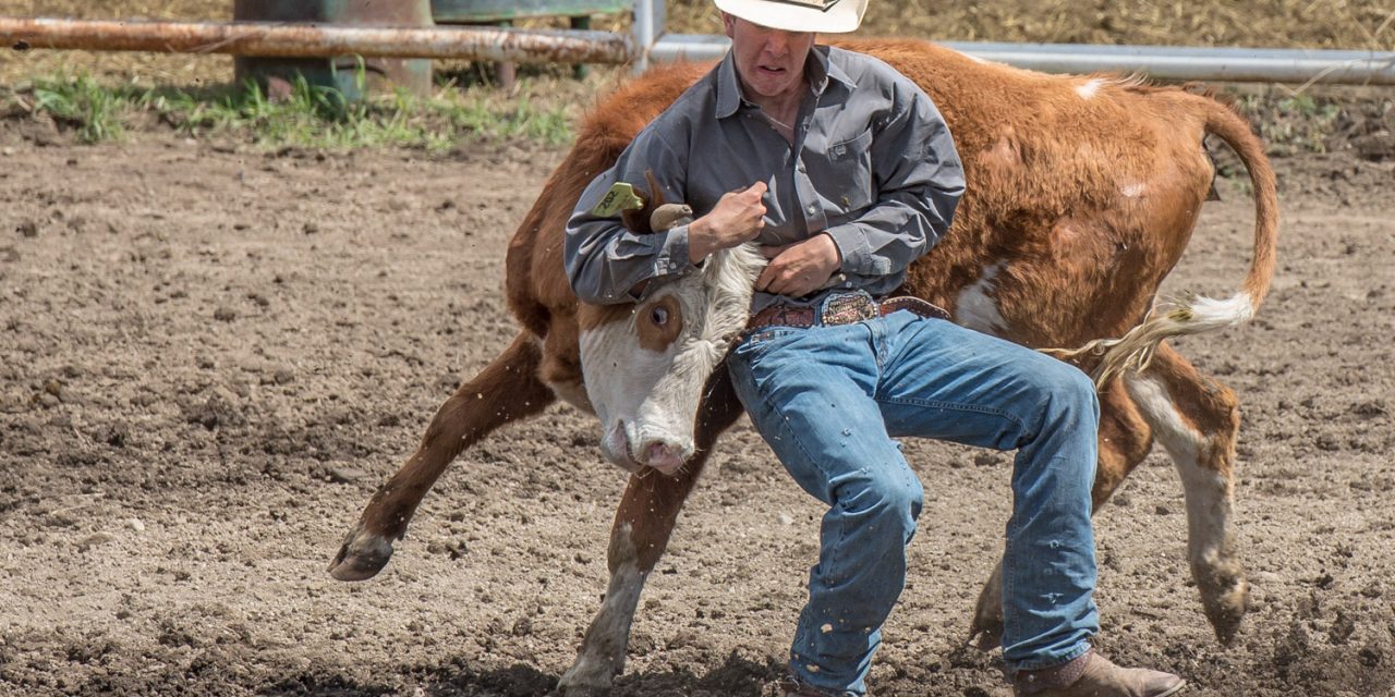 Oliver horsewoman recruited by BC squad - TimesChronicle.ca