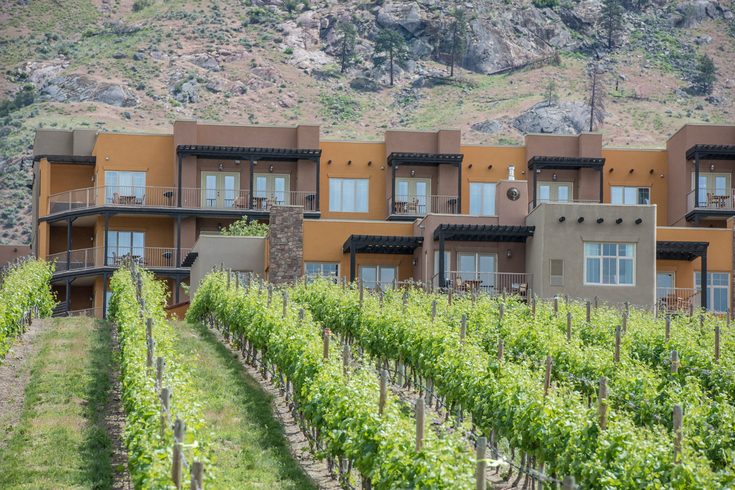 Spirit Ridge condo owners ‘shake things up’ by ending Bellstar’s rent ...