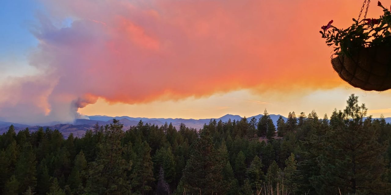 UPDATE: Wildfire burning south of Osoyoos grows to 2,500 hectares ...