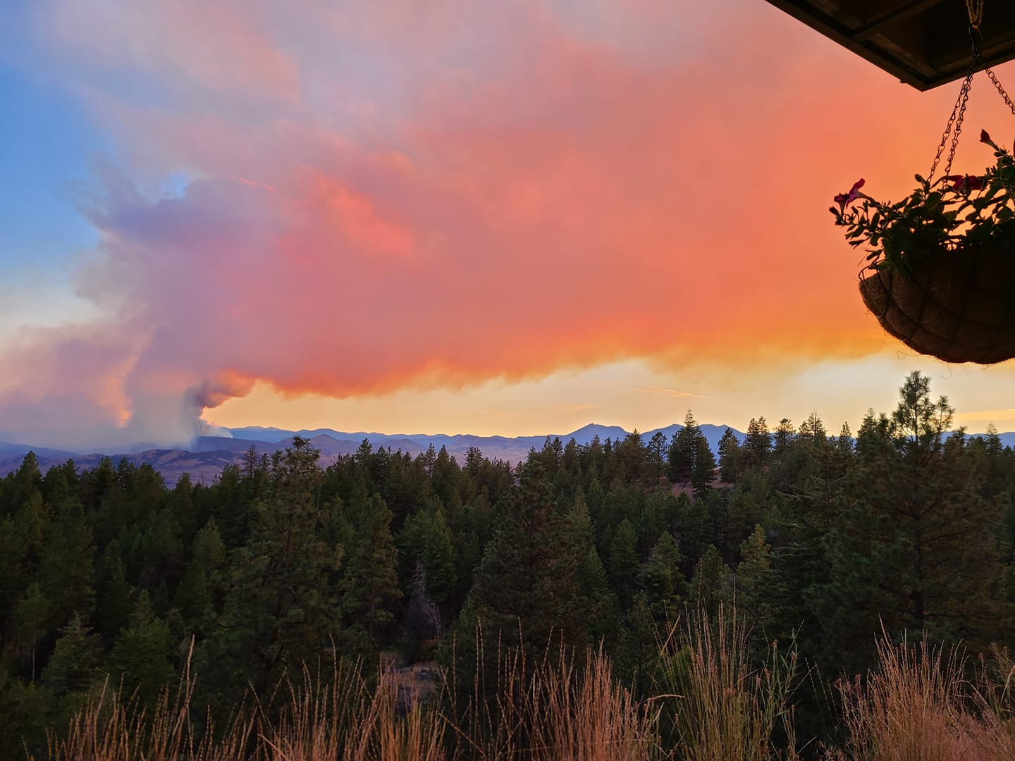 UPDATE: Wildfire burning south of Osoyoos grows to 2,500 hectares ...